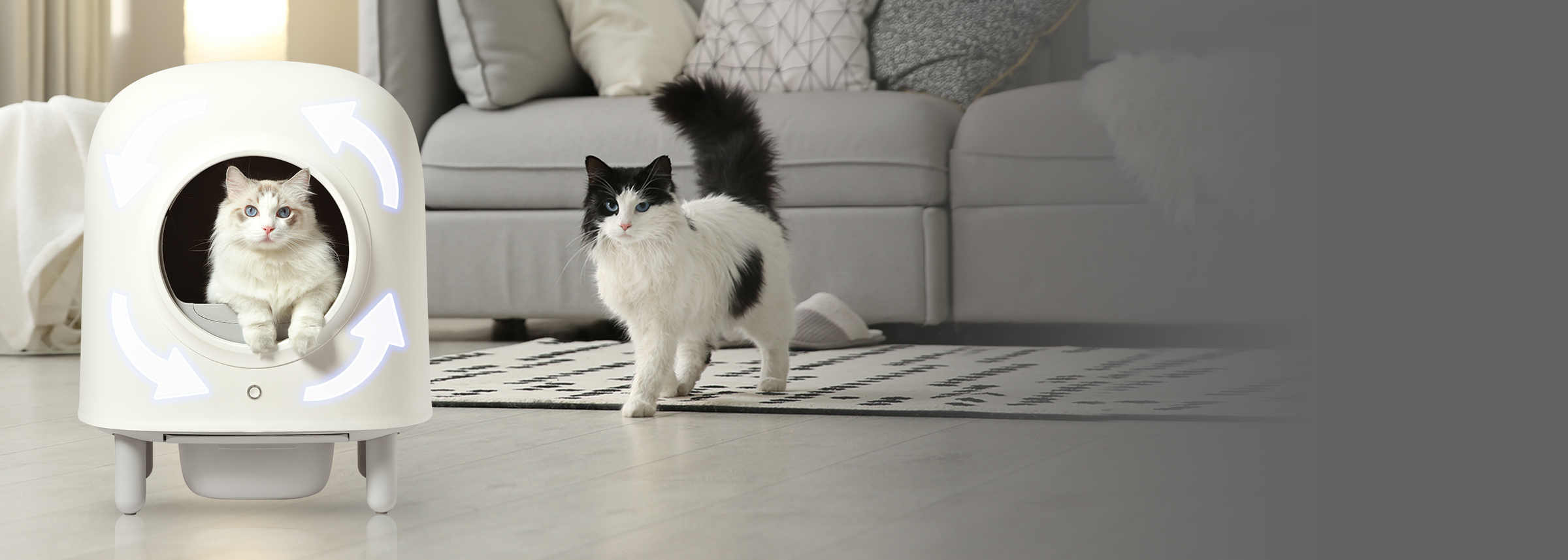 Petree Europe | Self-Cleaning Litter Boxes