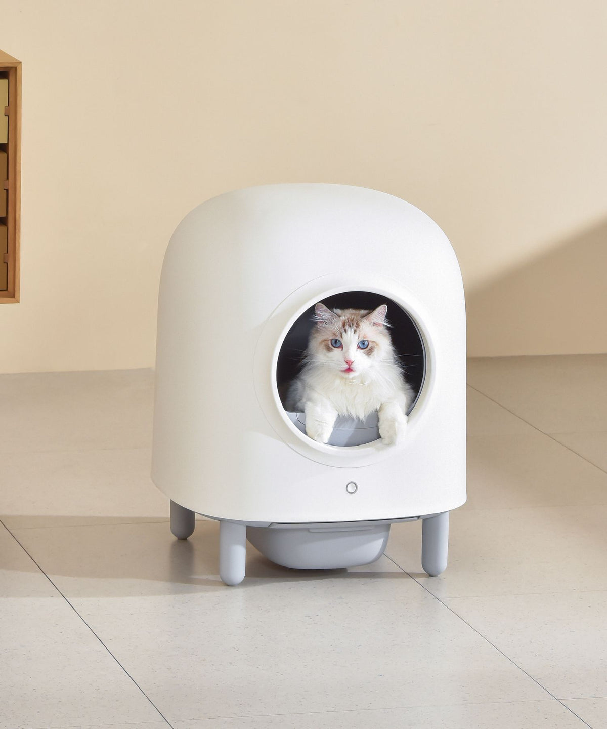 Petree Europe | Self-Cleaning Litter Boxes