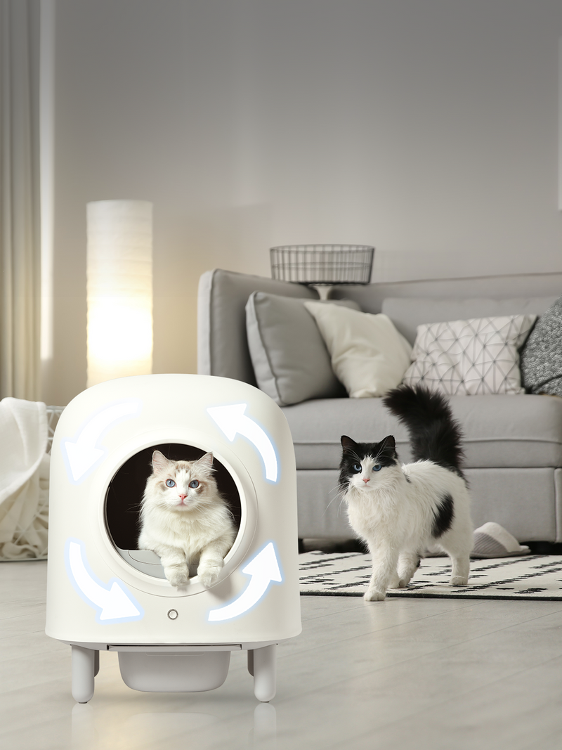 Petree Europe | Self-Cleaning Litter Boxes